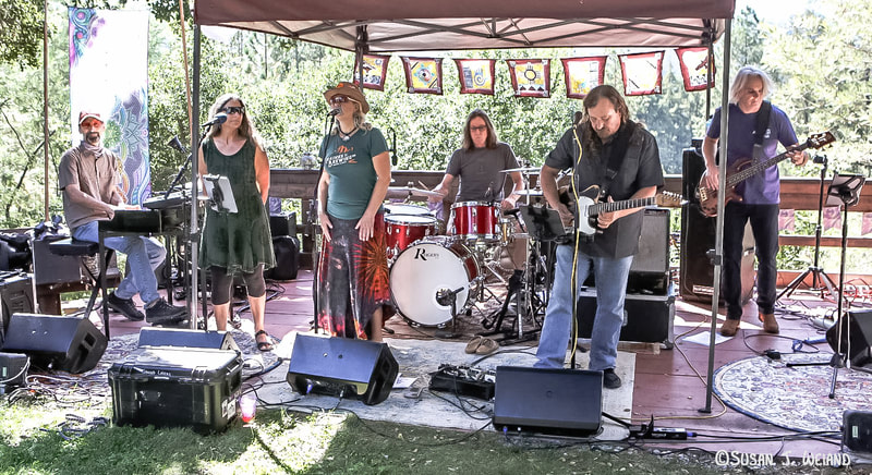 About - Tiger's Tale